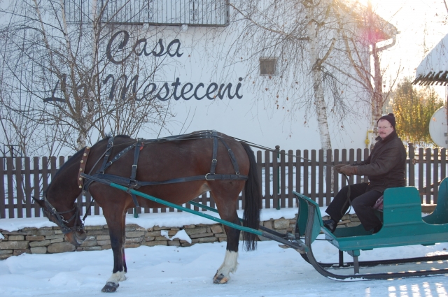Cazare Hotel Casa "La Mesteceni" - oferte cazare hotelul Hotel Casa "La ...
